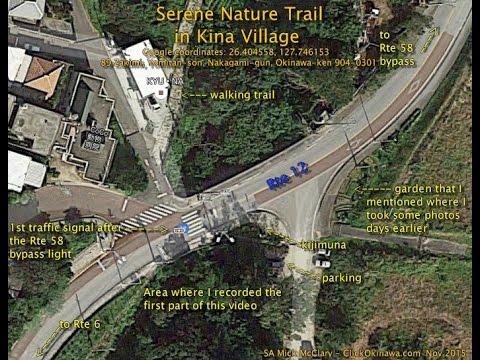 Hidden "Kijimuna" serenity trail in Kina Village, Okinawa - YouTube