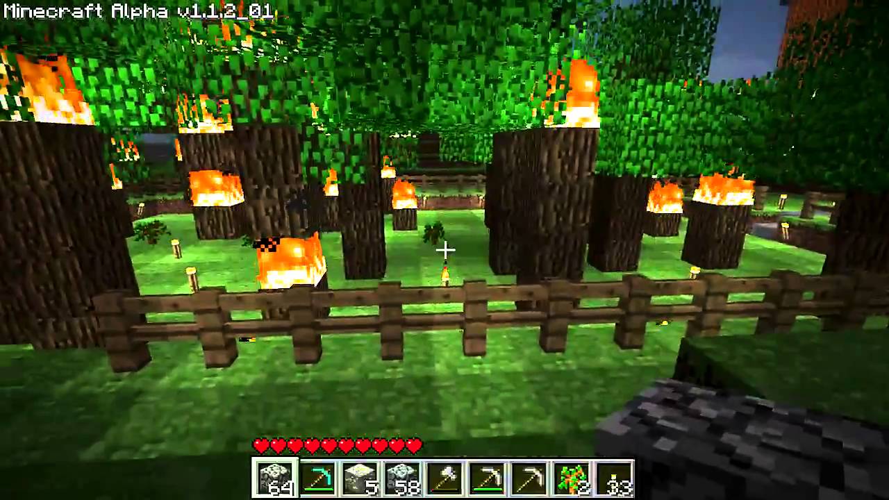 Sweet Minecraft Fire Bug Gone Wrong :( - YouTube