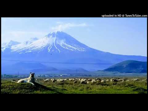 AKSARAY TÜRKÜSÜ