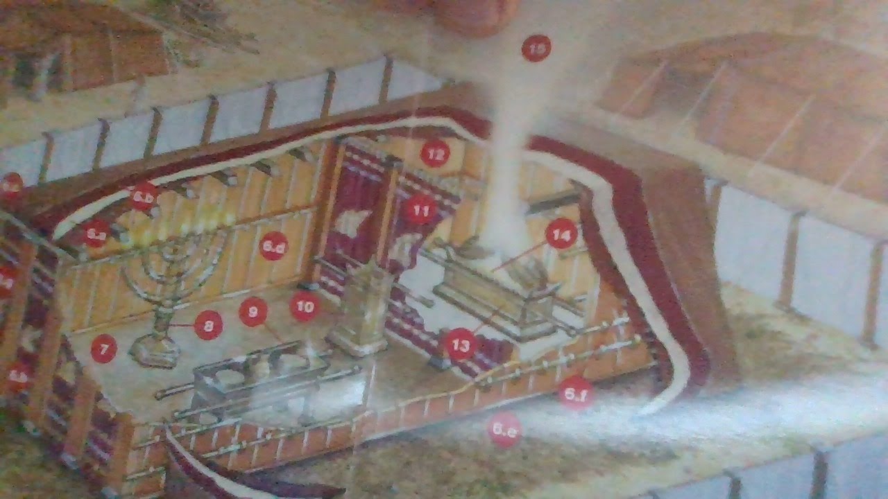 #34 One true God, One Lord, One Faith, One Baptism, One Doctrine, One ...