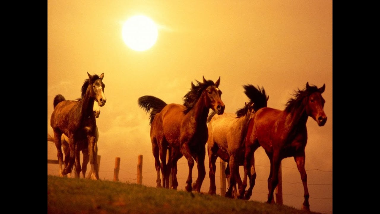 38 Special – "Play A Simple Song" – 1977 - YouTube