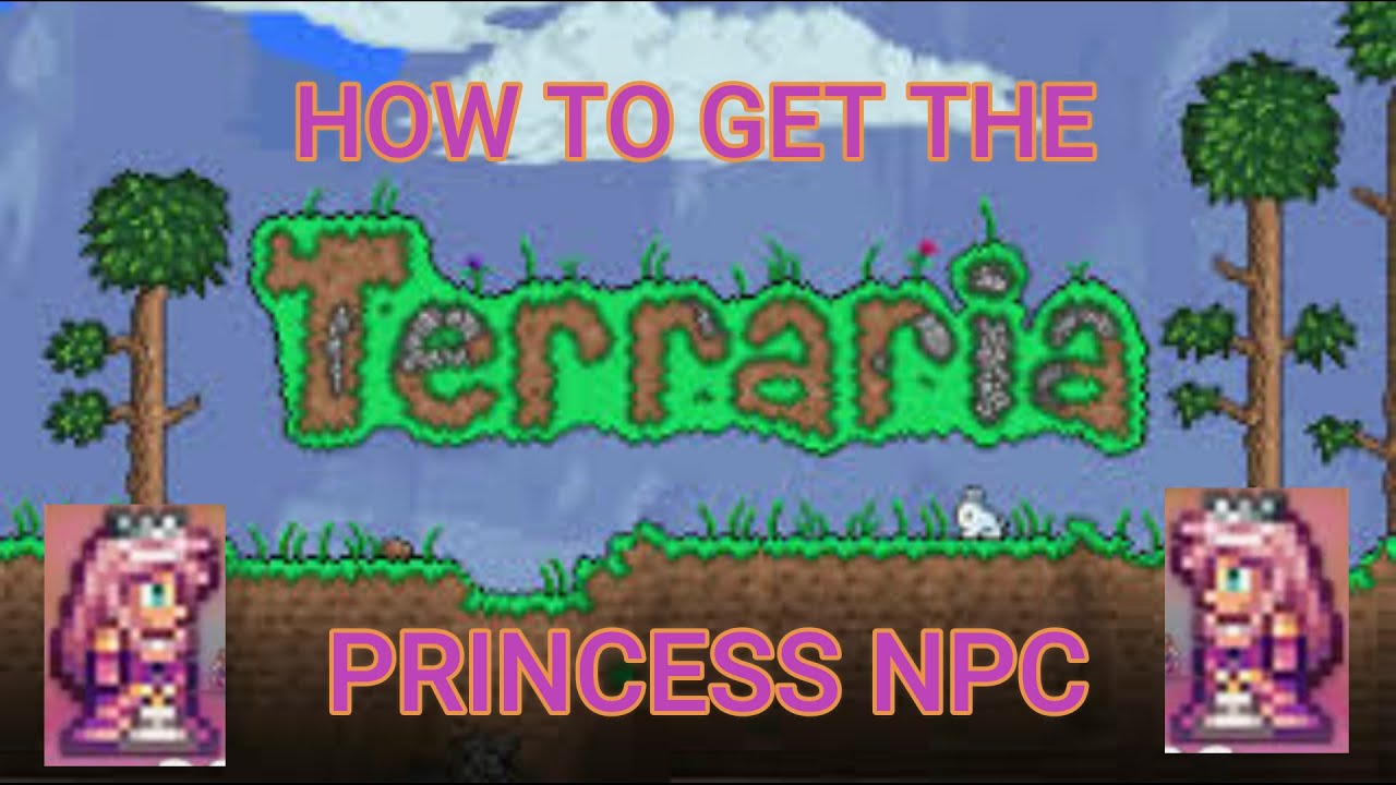 How To Get The *NEW* Princess NPC In Terraria? - YouTube