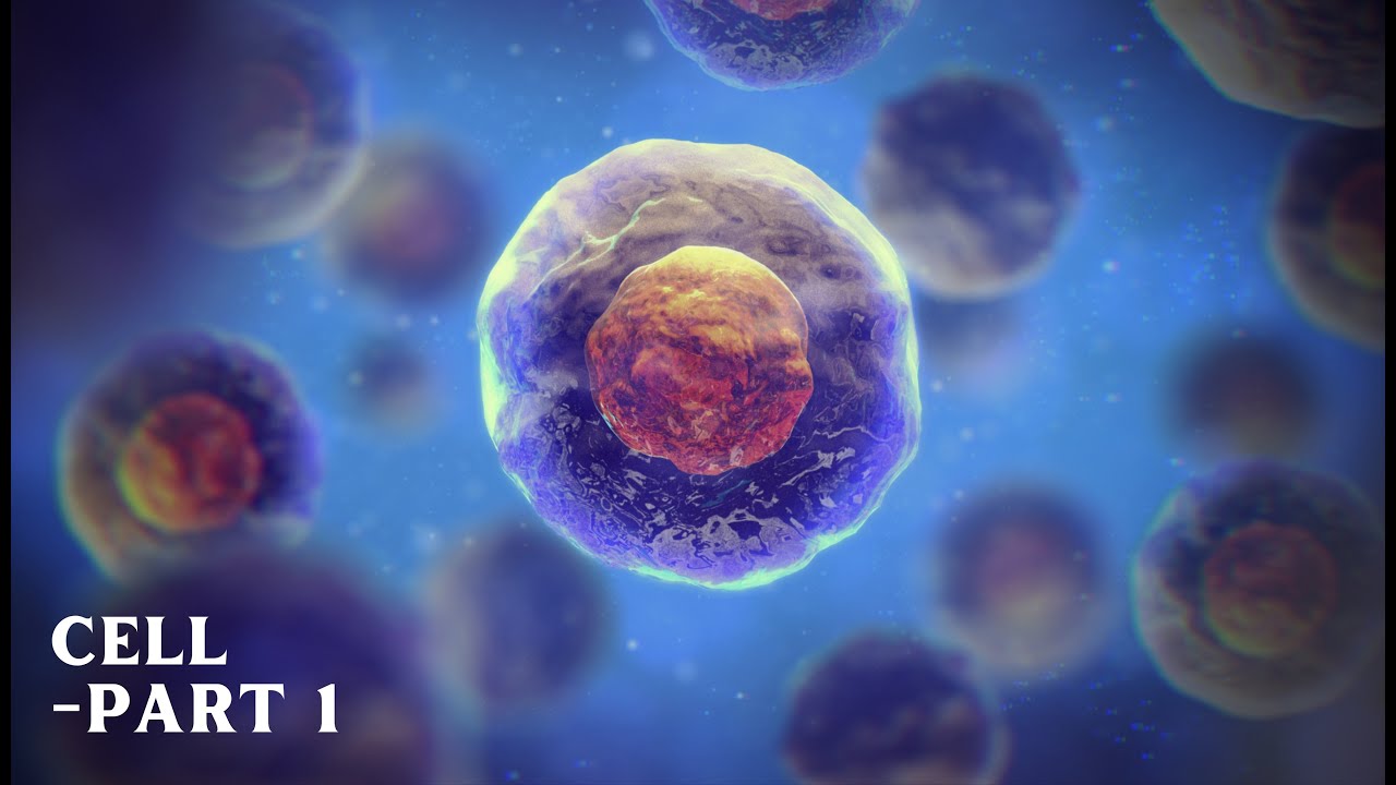 Cell - Part 1 (Introduction, History, Overview) - YouTube