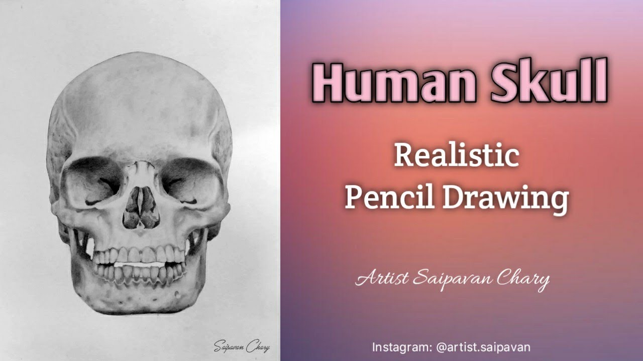The Human Skull... | Realistic Drawing | Pencil Medium | Artist ...