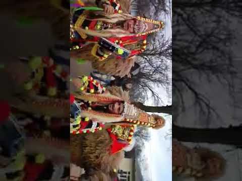 Urși din Corni 2018