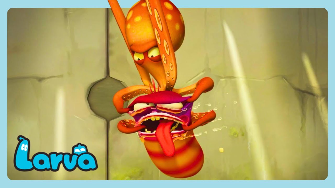 LARVA - Short arm Octopus 🐙 | Season 1 | Cartoons for Kids | WildBrain ...