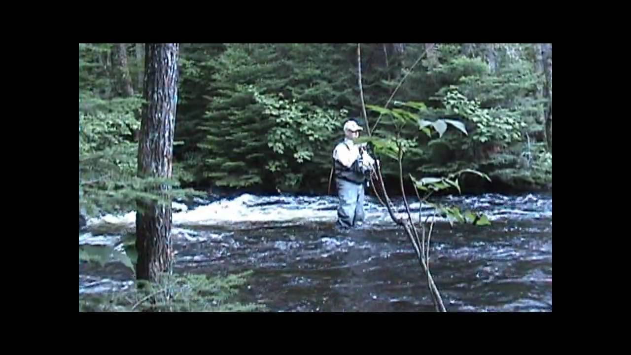 Fly Fishing a Manitoba Trout Stream Guided trips out of Winnipeg - YouTube
