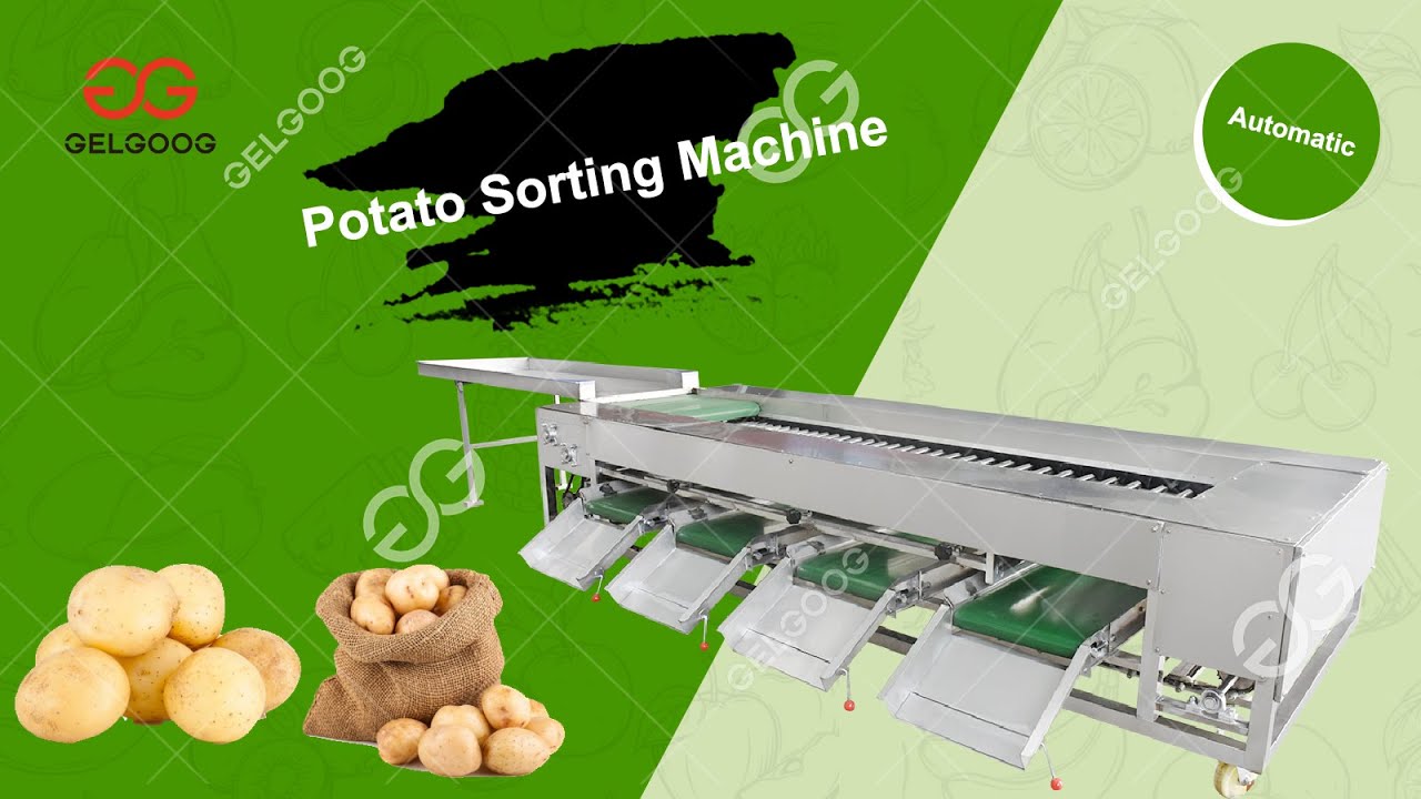 Potato Size Sorting Grading Machine For Sale - YouTube