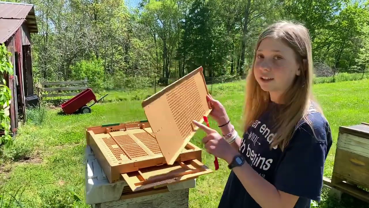 Pollen Trapping with Apimaye Bottom Boards🐝 - YouTube