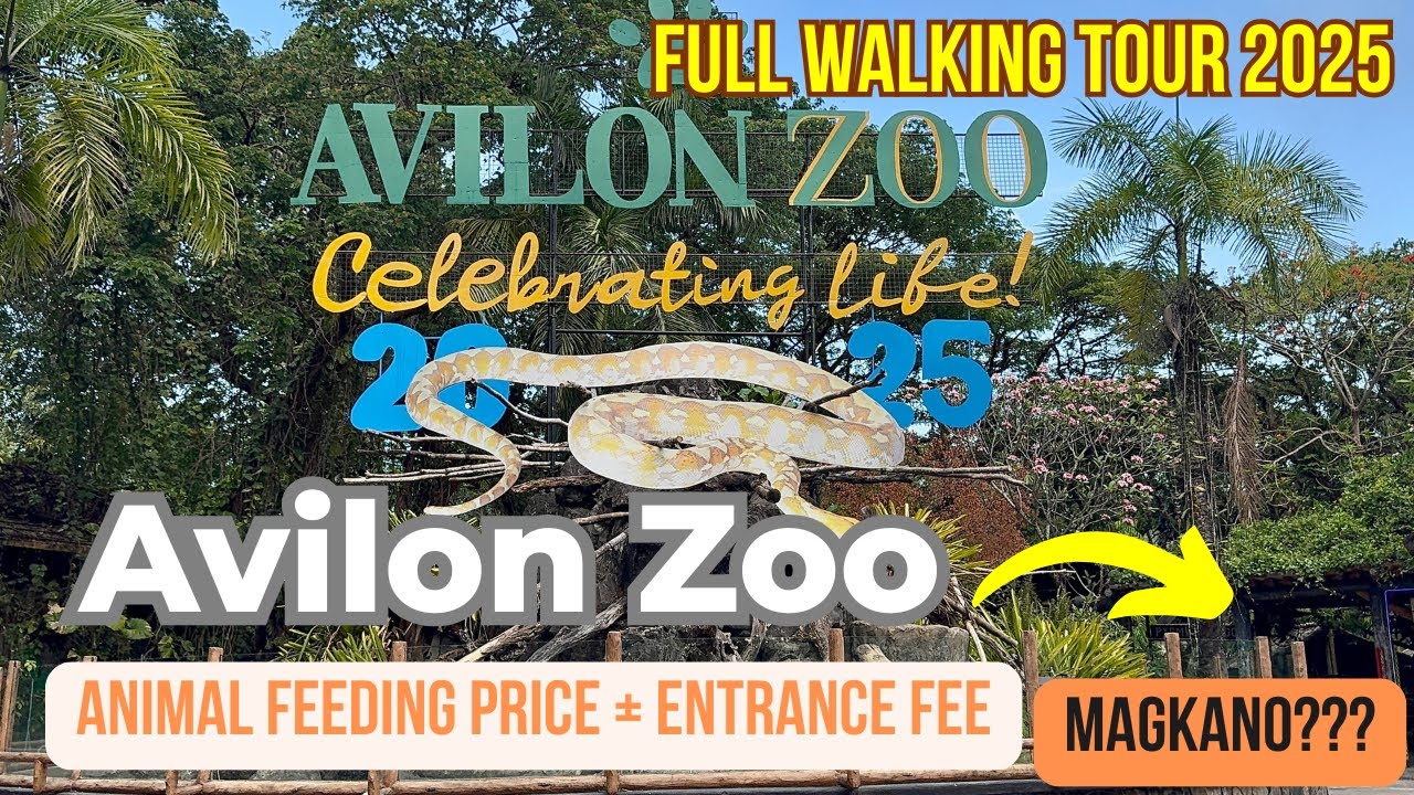 Walking tour at Avilon Zoo 2025 | Up-Close Encounters with Exotic ...