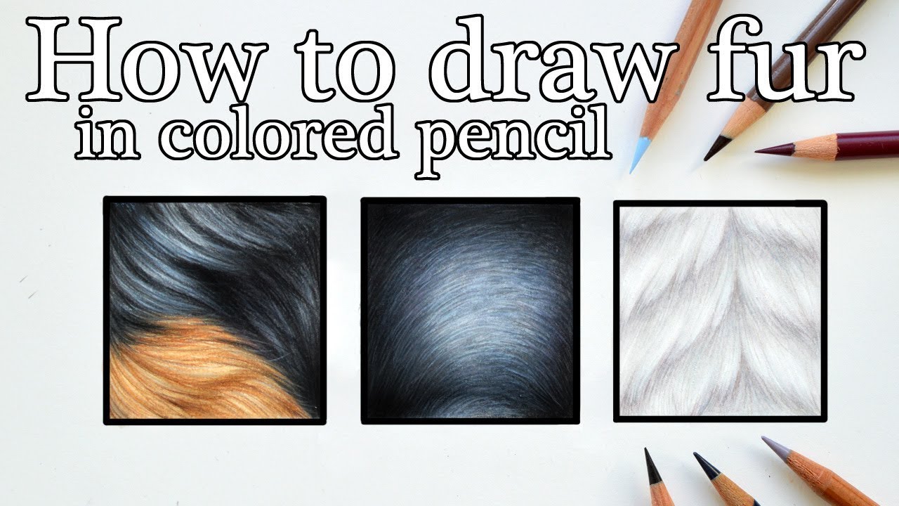 How to draw realistic fur in colored pencil - YouTube
