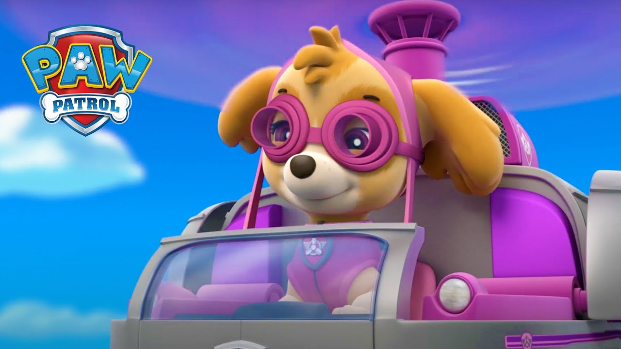Air Rescues! - PAW Patrol - Cartoons for Kids - YouTube