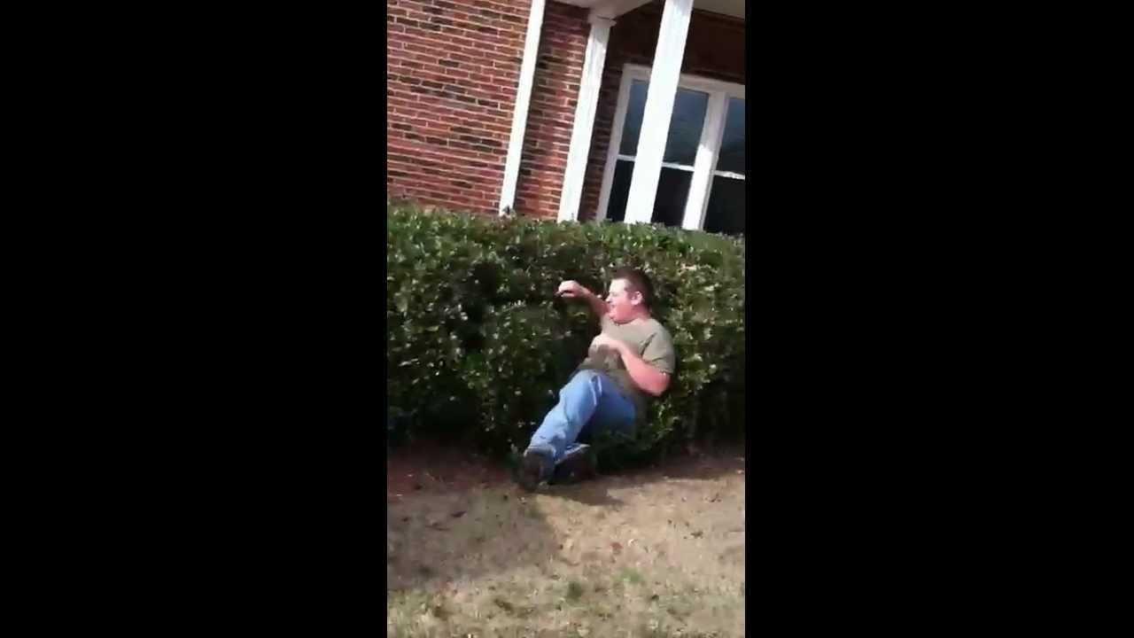 STUMPY JUMPING IN THE BUSH - YouTube