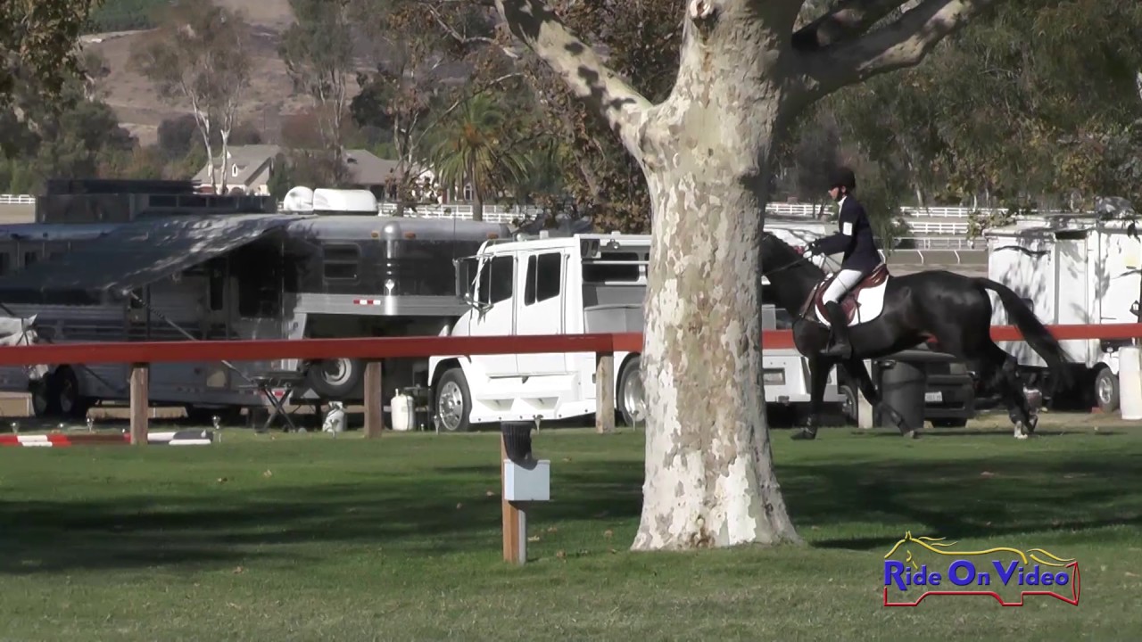268S Amaya Davis on Evening Attire JR Novice Show Jumping Galway Downs ...