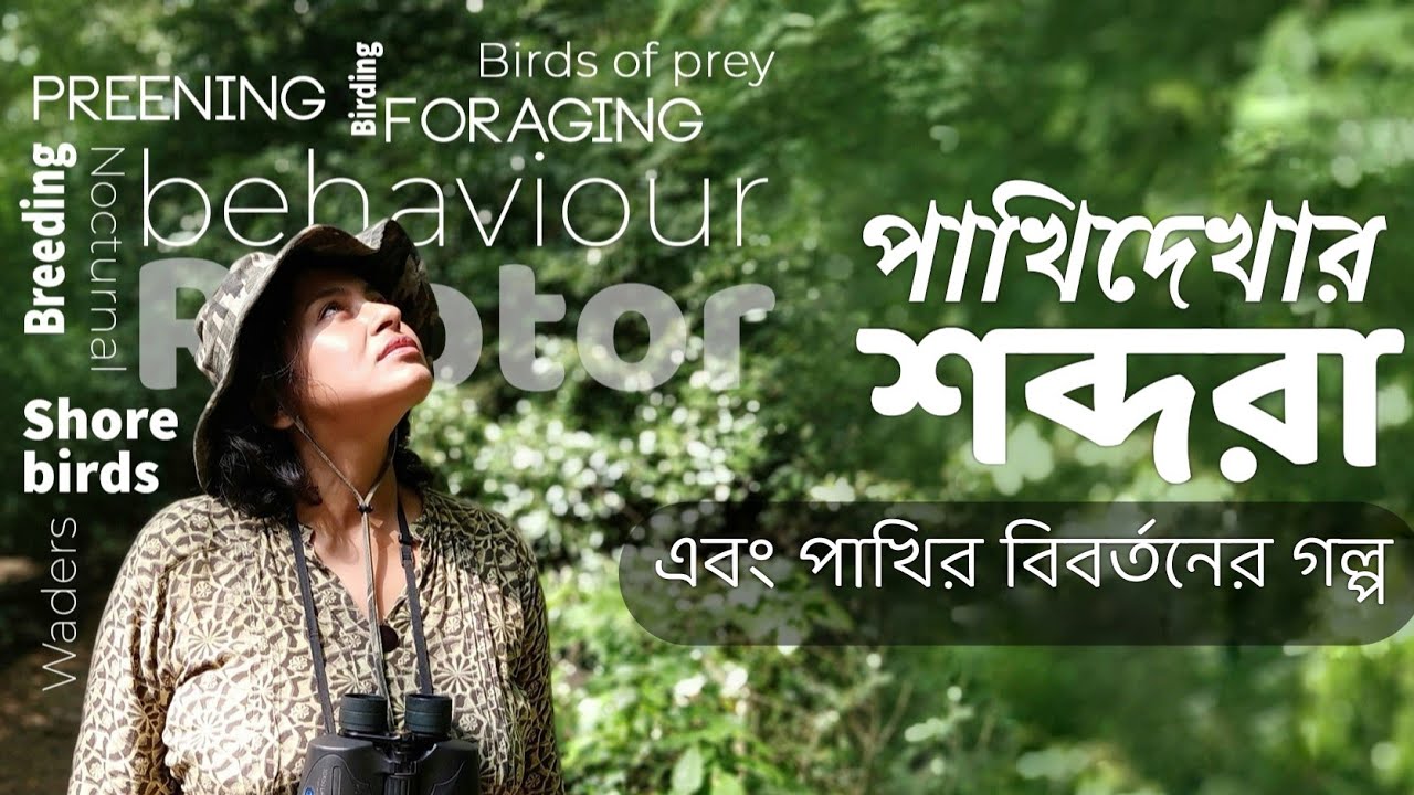 Birding words | Terms we use in birdwatching | Origin of birds - YouTube