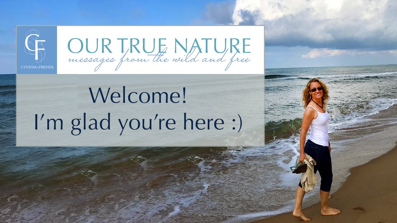 Welcome to CYNTHIA+FRIENDS' Our True Nature - Messages from the Wild ...