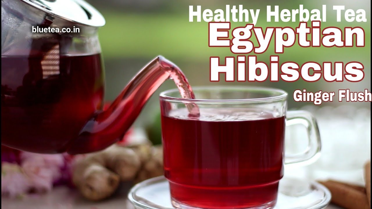 Health Benefits of Egyptian Hibiscus tea : Healthy tea : Hibiscus tea ...