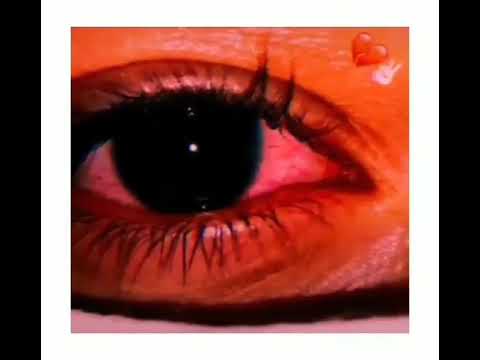 Whatsapp ucun maraqli, MƏNALI statuslar, status ucun videolar, QEMLİ WHATSAPP STATUSLARI 2021 💔🍃