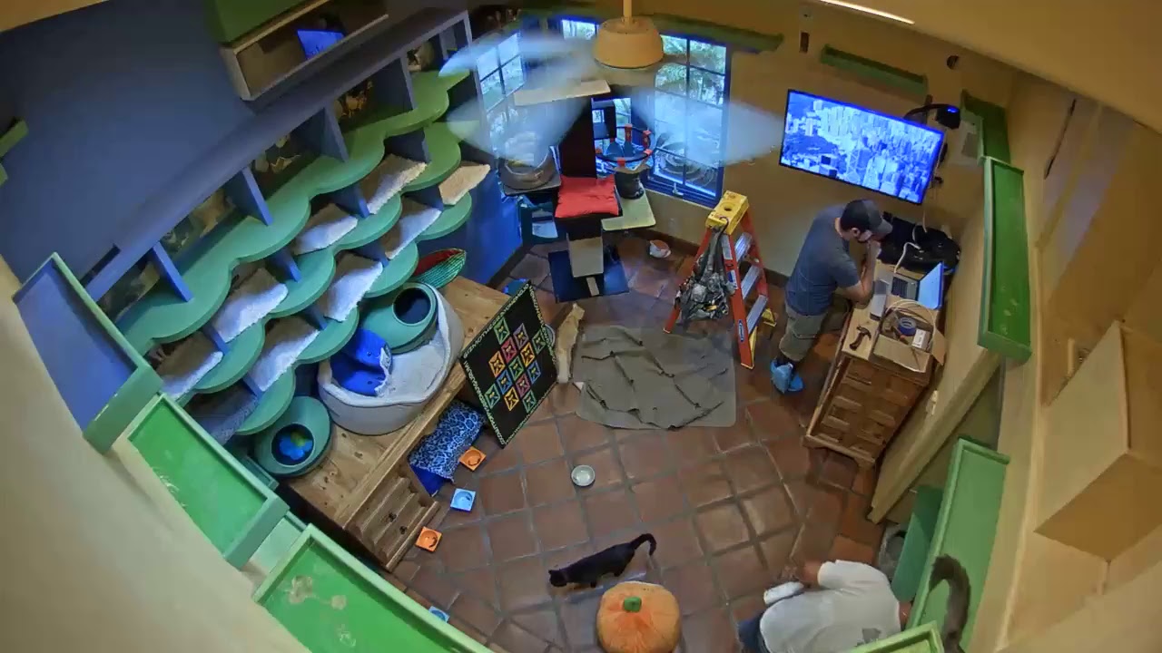 Live Camera Axis F44-Dual_Audio_Input - YouTube