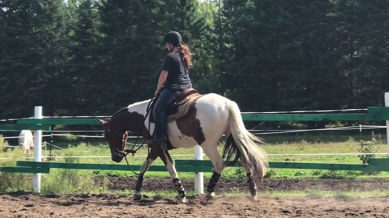 Spitfire Series: Shoulder Control and Refinement after Thirty Days ...