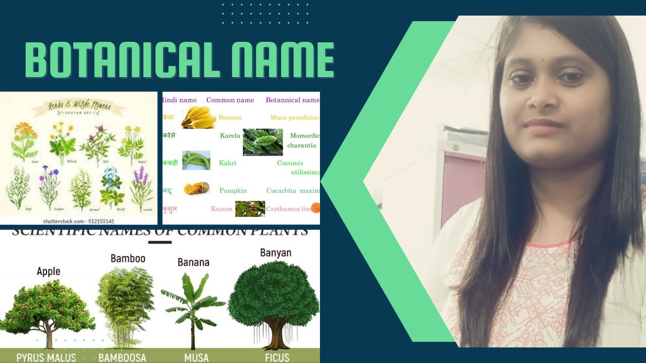 BOTANICAL NAMES | NOMENCLATURE & CLASSIFICATION | PART 2 | - YouTube