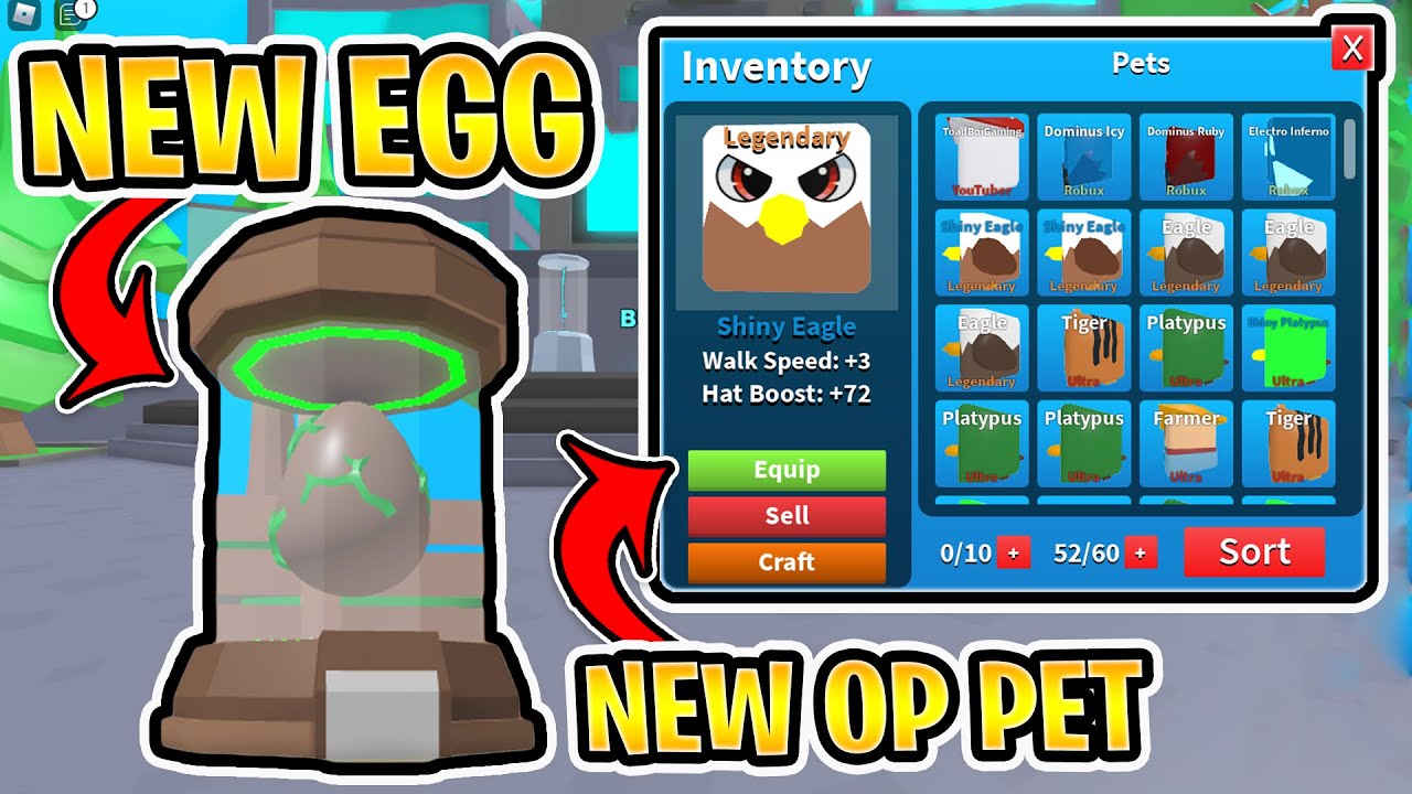 A FAN GAVE ME 2 OF THE BEST PET IN ROBLOX BOMB SIMULATOR - YouTube