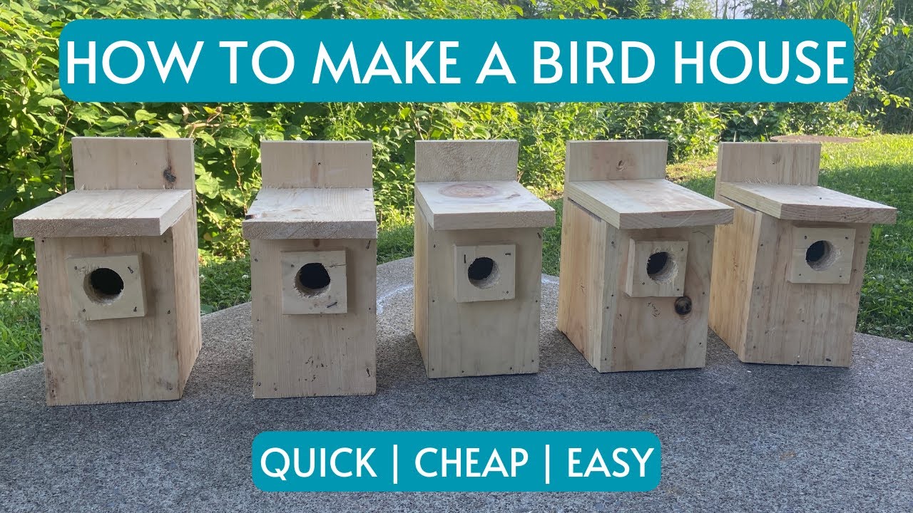 How to Make a Bird House - YouTube
