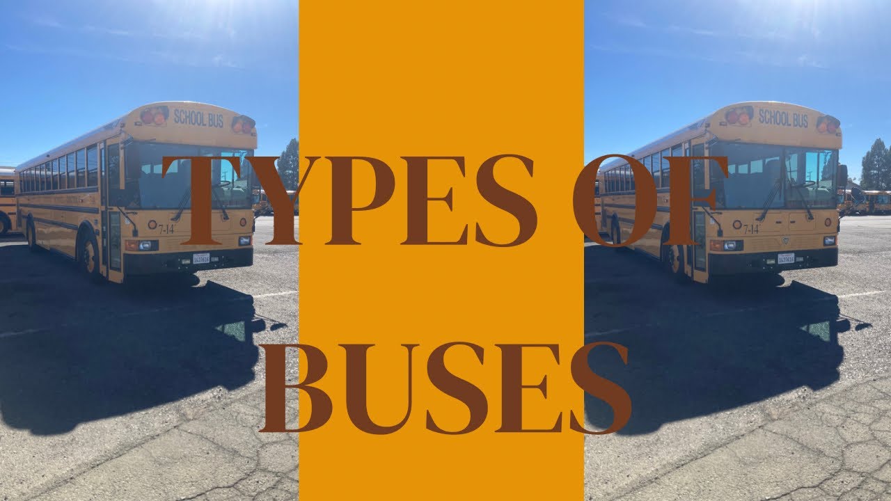 California School Bus:Types of Buses - YouTube