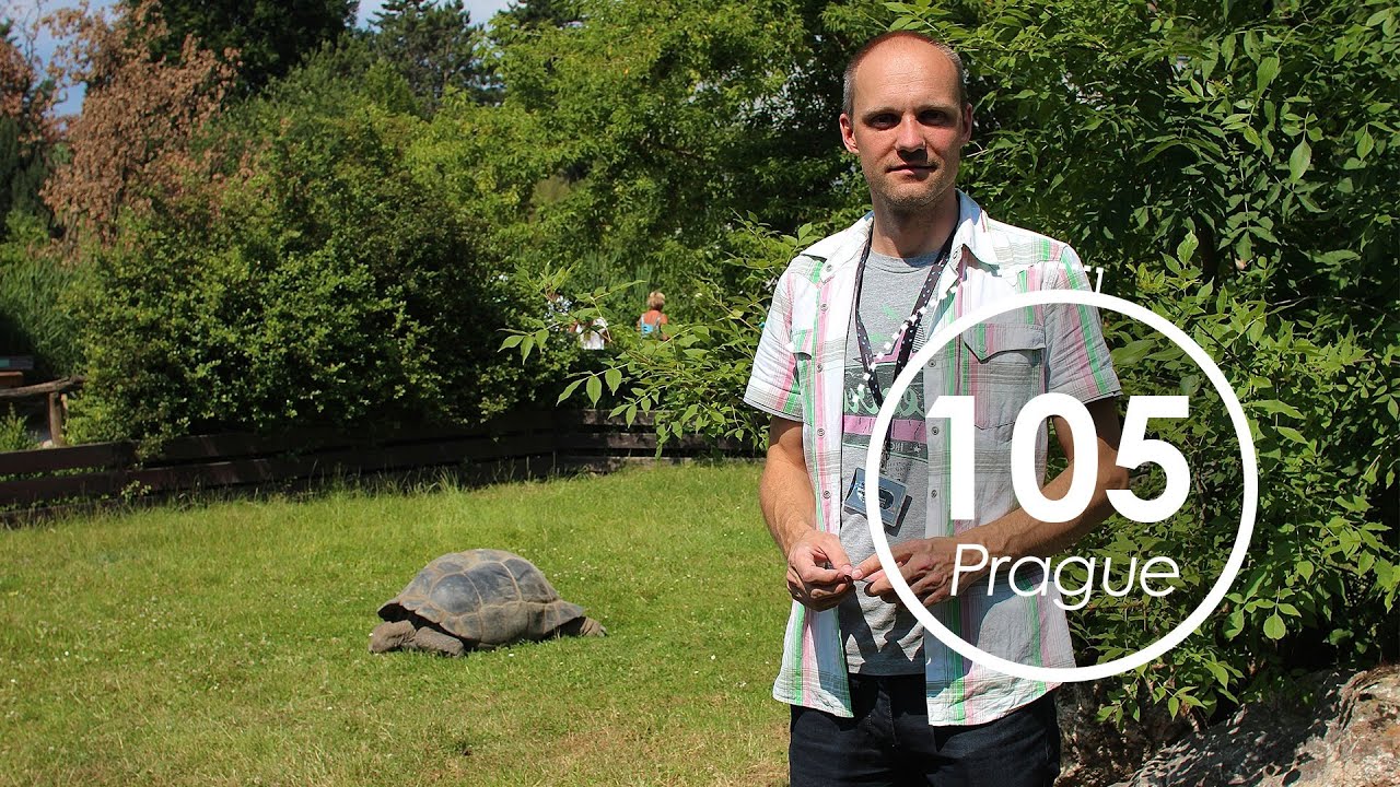 Prague Zoo: "It destroyed almost half of the zoo" - YouTube