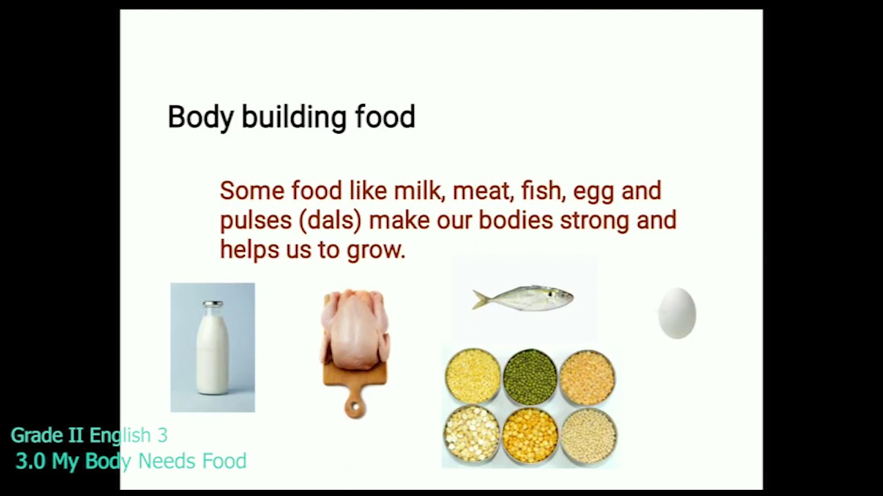 SVSSS Grade 2 - English 3 - 3.0 - My Body Needs Food - YouTube