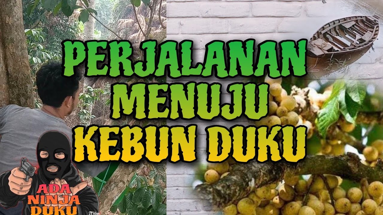PERJALANAN MENUJU KEBUN DUKU - YouTube