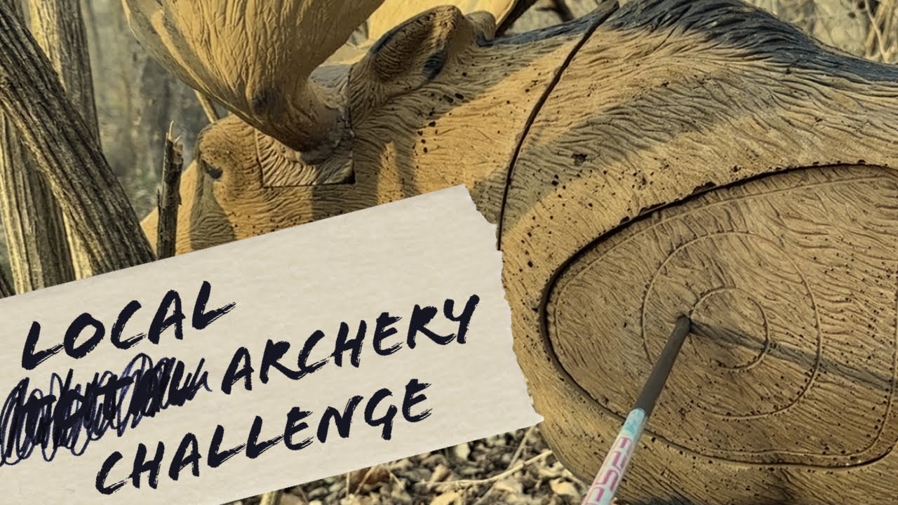 This Is Why I Shoot 3D Archery… - YouTube
