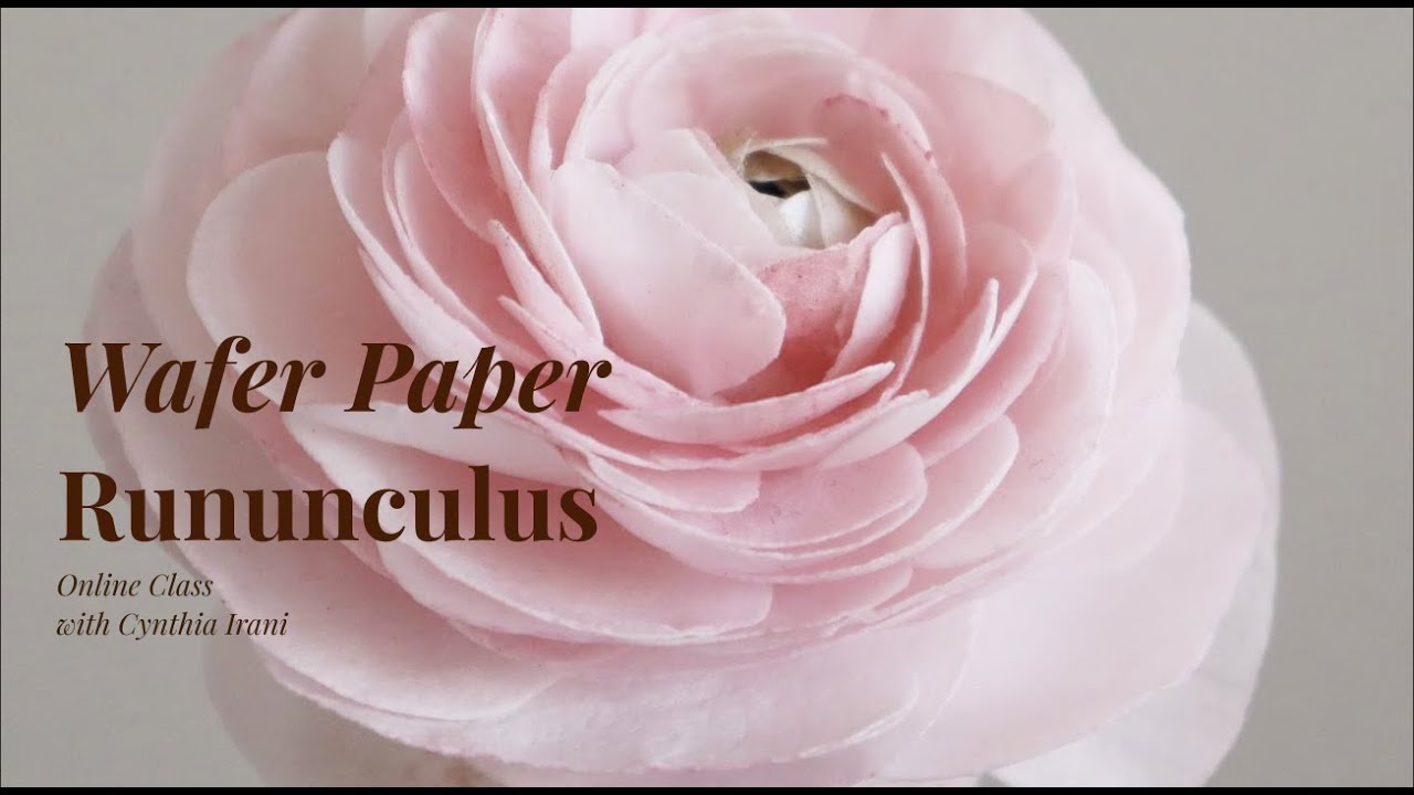 How to make a ranunculus wafer paper flower - YouTube