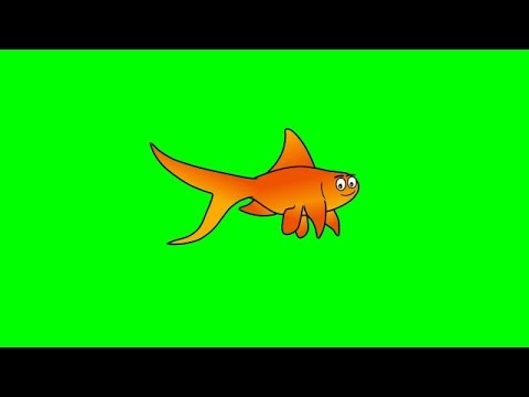 Animated Goldfish ~ Green Screen - YouTube
