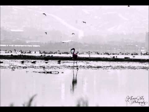 Kemal Furkan Gemici - Yokluğun Çok Soğuk