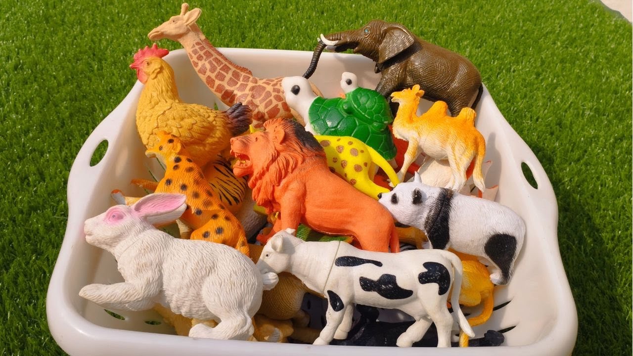 Safari Animal Toys Collection, Wild Zoo Animals Toy, Animals Names ...