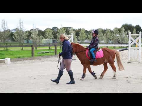 Consigli per genitori alla conduzione del pony | Serie per insegnare ai bambini