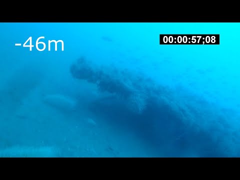 Mero en   46 m y pargo encuevado de José Carlos Sáez del equipo Fusiles Orca y Polosub