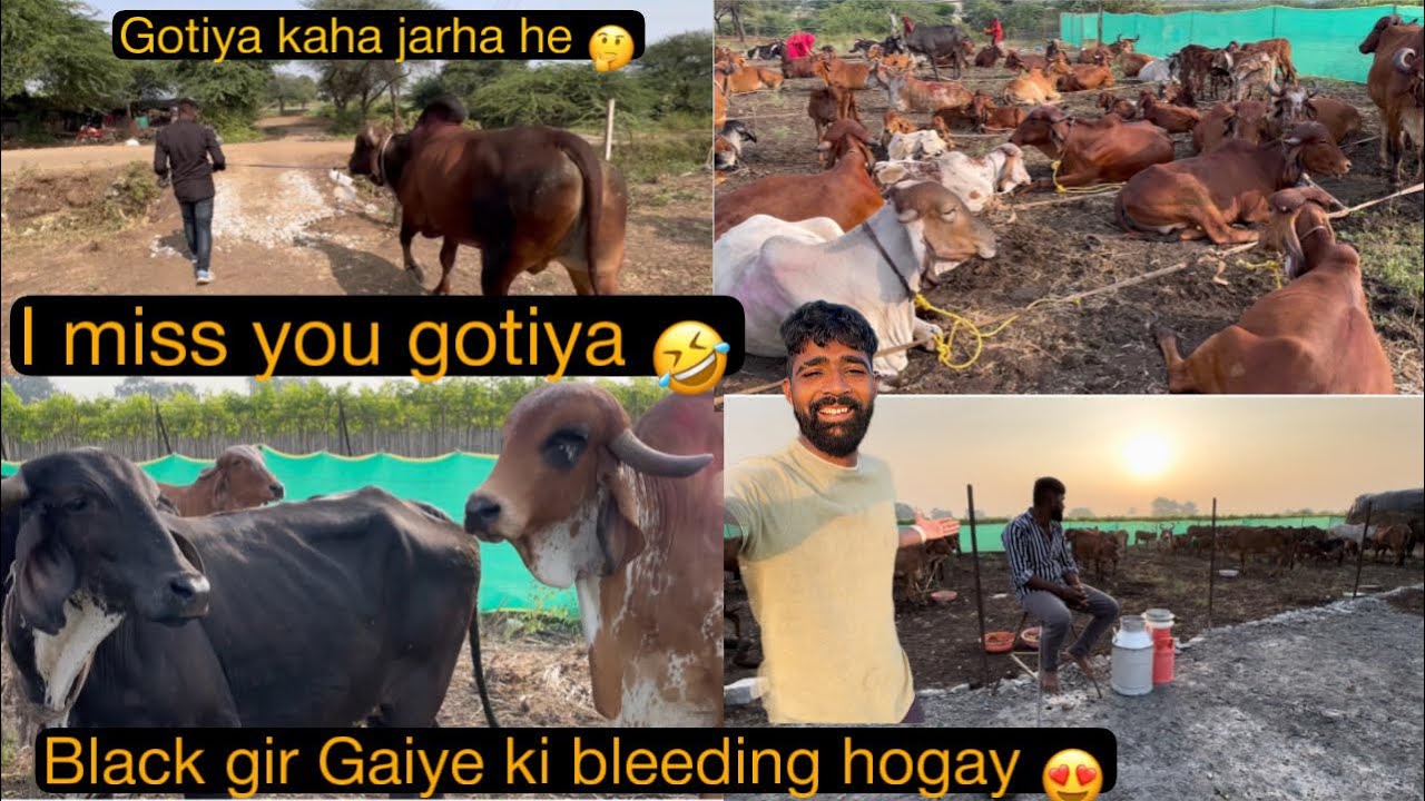 Miss you gotiya 🤣 - YouTube