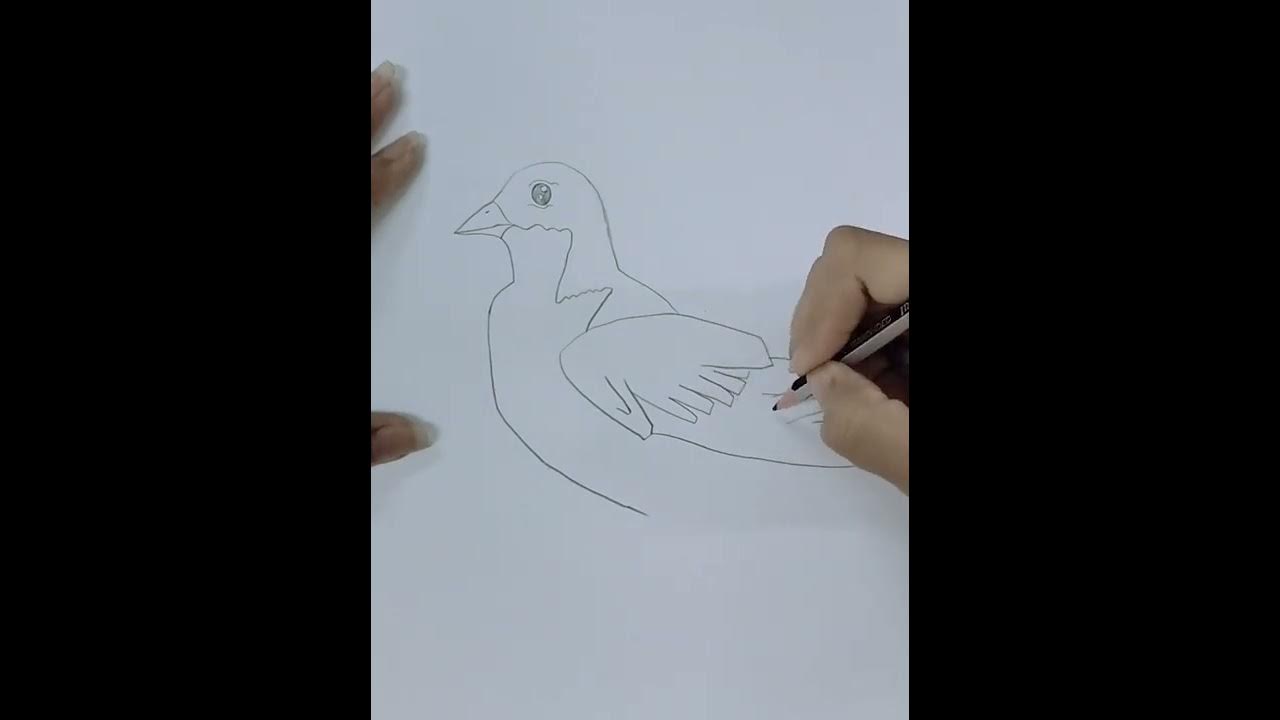 How to draw a bird. - YouTube
