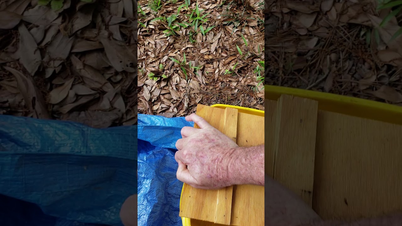 DIY hand washing station, cheap and easy - YouTube