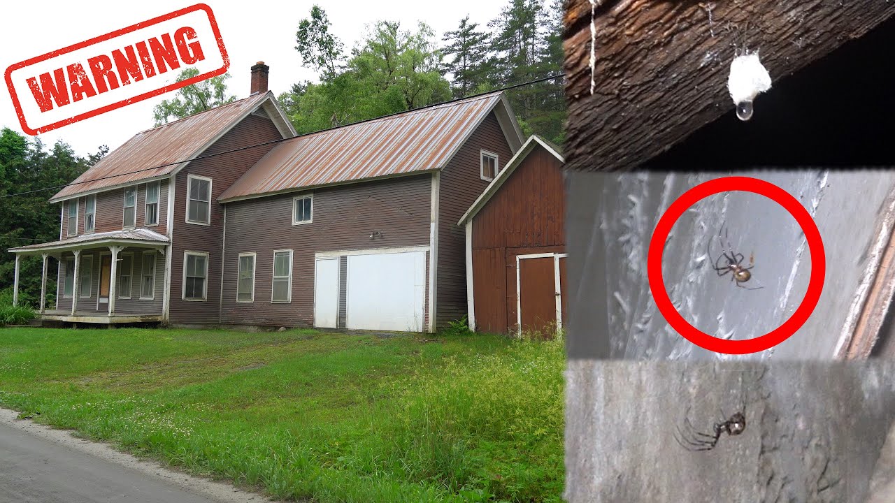 Exploring ABANDONED House with a Spider Infestation (CREEPY) - YouTube