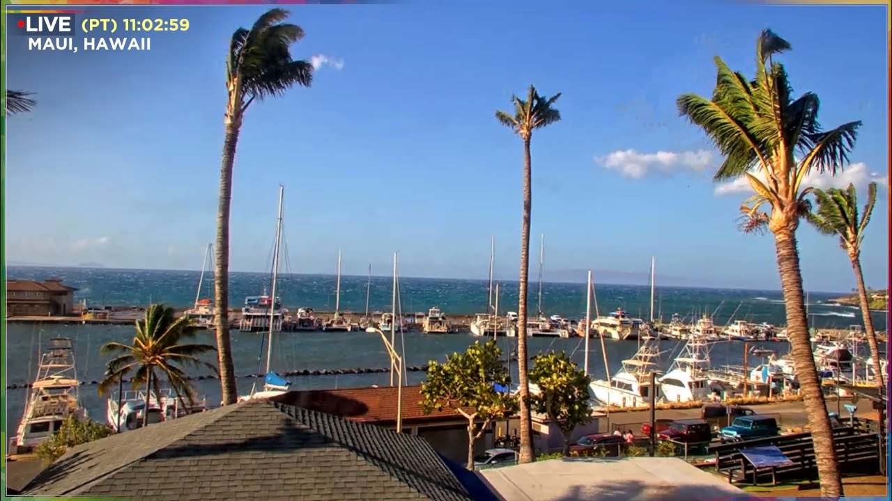 Live from Maui (Maalaea: between Lahaina & Kihei fires) - YouTube