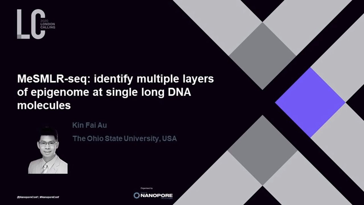 MeSMLR-seq: identify multiple layers of epigenome at single long DNA ...