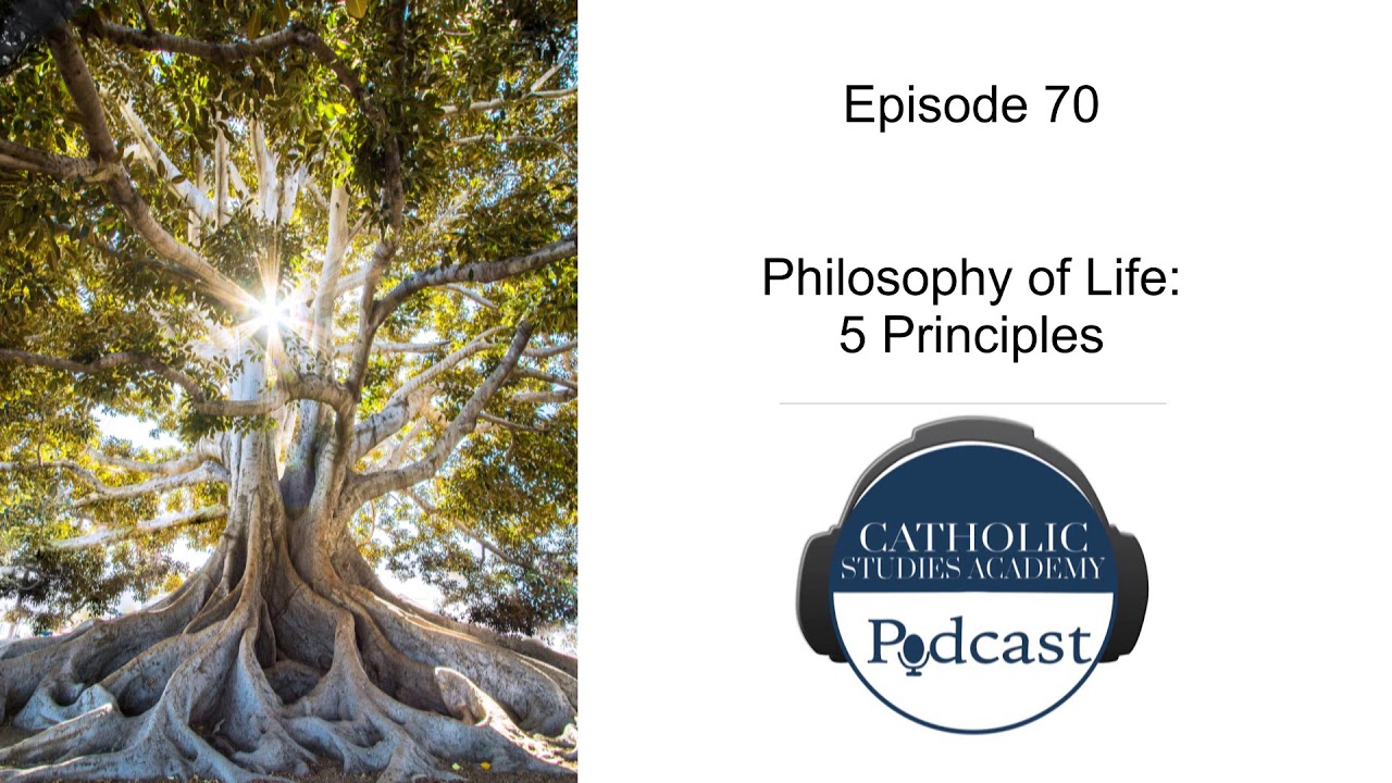 5 Philosophical Principles of Life - YouTube