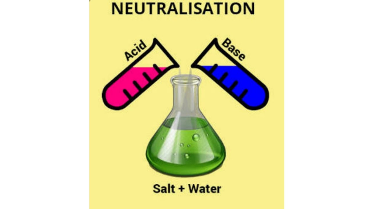 What is Neutralization? | Class 6, 7 | The Science Series | Easy learn ...