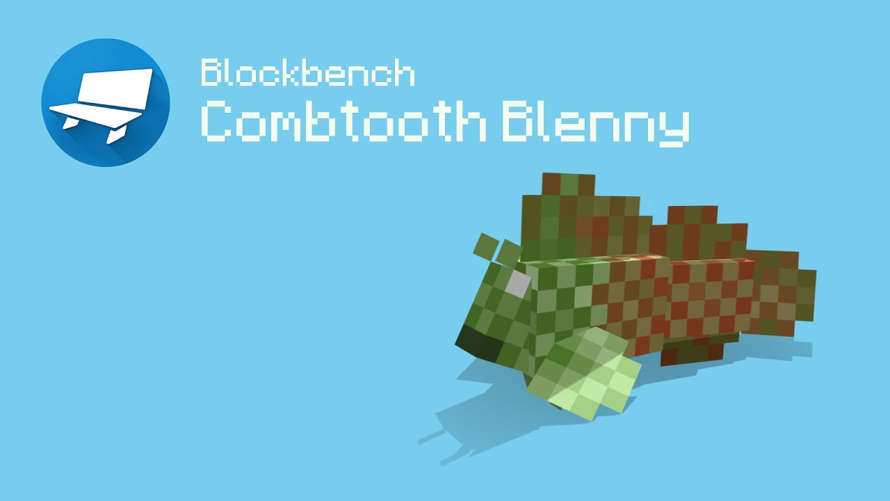 Combtooth Blenny - Blockbench Creation Timelapse - YouTube