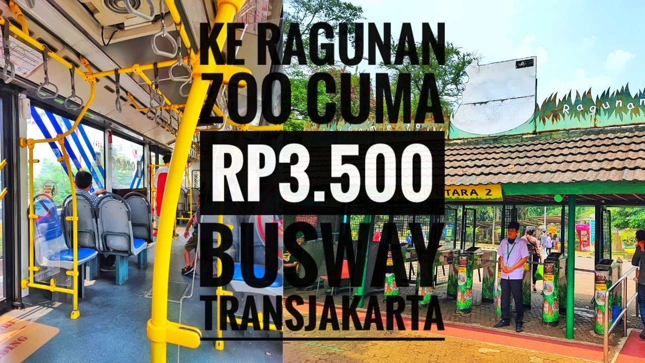 Cara ke Ragunan Zoo Menggunakan Busway Transjakarta, Murah Meriah!! # ...