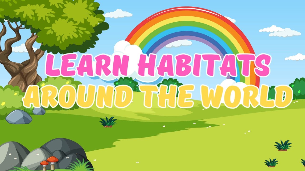 Learn Amazing Habitats Around the World: A Fun Adventure for Kids ...