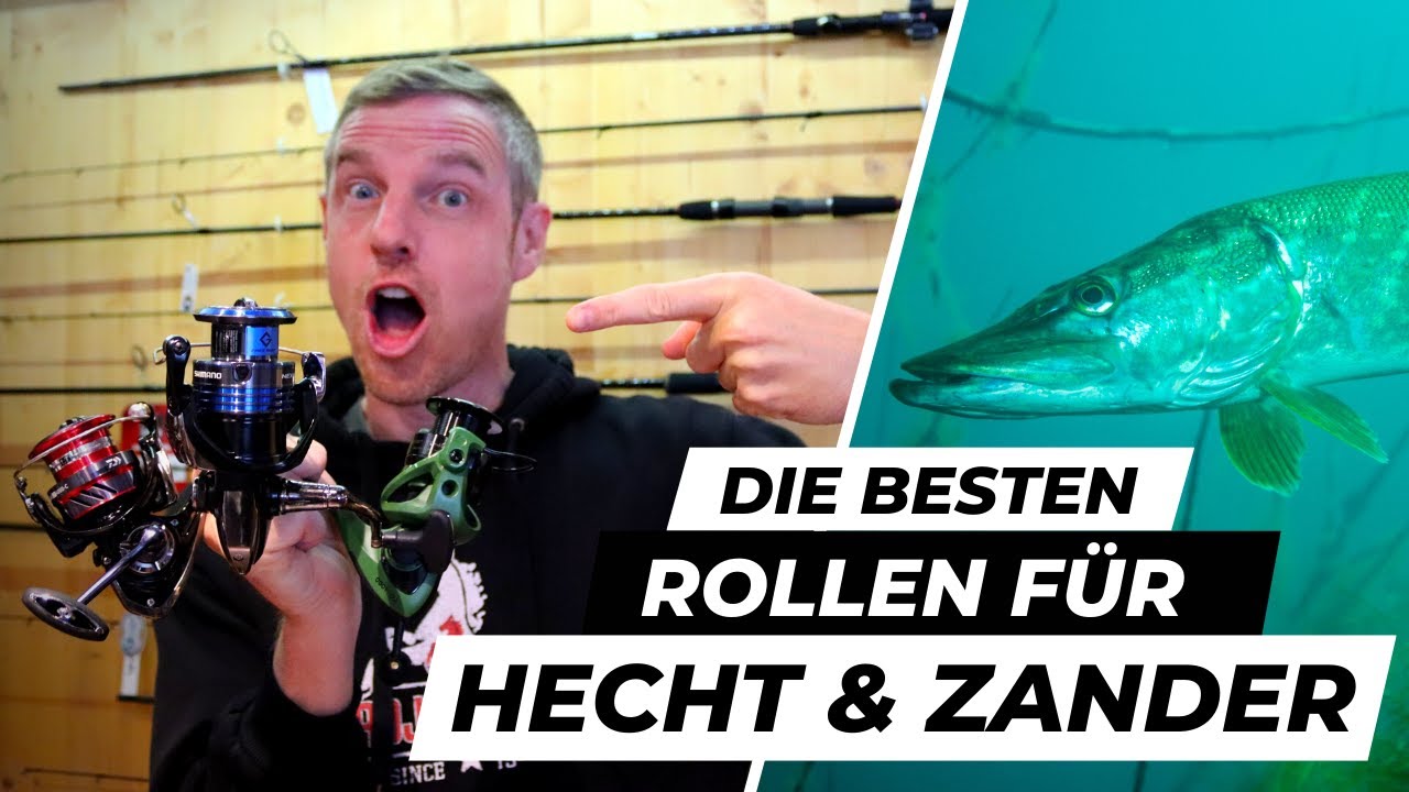 Die BESTEN Rollen für HECHT und ZANDER bis 50 Euro! - YouTube